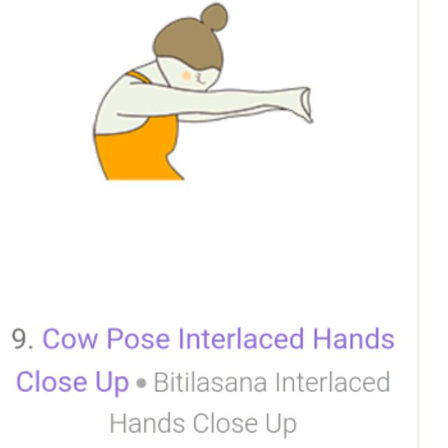 Cow Pose Interlace Hands by 𝔻𝕖𝕤𝕖𝕣𝕥 𝔽𝕠𝕩🦊 🌟 - Exercise How-to - Skimble