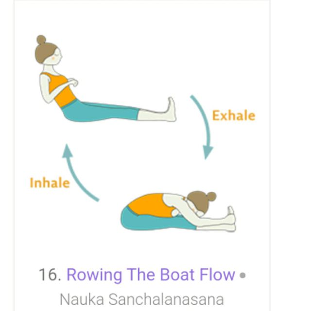 Rowing The Boat by 𝔻𝕖𝕤𝕖𝕣𝕥 𝔽𝕠𝕩🦊 🌟 - Exercise How-to - Skimble