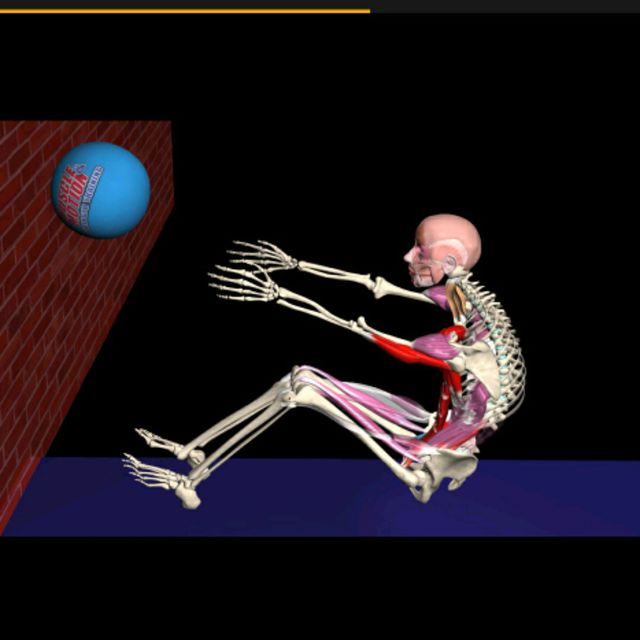 Throw to the wall from a prone position by Tanya P - Exercise How-to ...