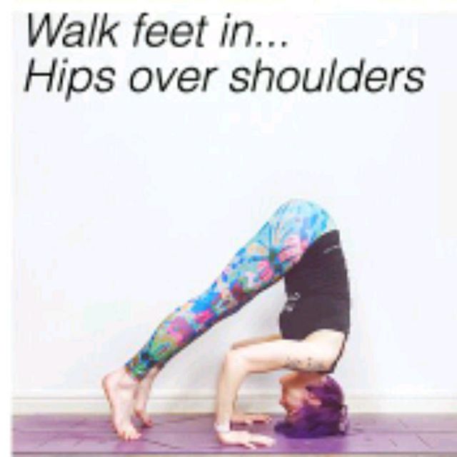 Tripod Dog by Bernadette C. - Exercise How-to - Skimble