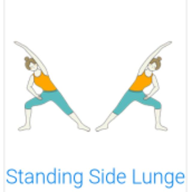 Standing Side Lunge Reaches Both Sides by 𝔻𝕖𝕤𝕖𝕣𝕥 𝔽𝕠𝕩🦊 🌟 - Exercise How ...