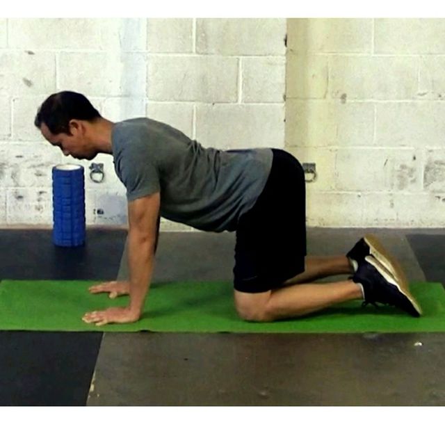 Four-Point Thoracic Extensions by Vincent H. - Exercise How-to - Skimble