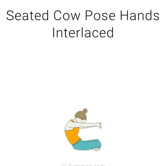 Seated Cow Hands Interlaced by 𝔻𝕖𝕤𝕖𝕣𝕥 𝔽𝕠𝕩🦊 🌟 - Exercise How-to - Skimble