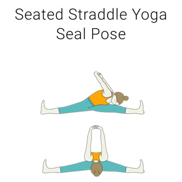 Seated Straddle Pose Seal Both Sides by 𝔻𝕖𝕤𝕖𝕣𝕥 𝔽𝕠𝕩🦊 🌟 - Exercise How-to ...