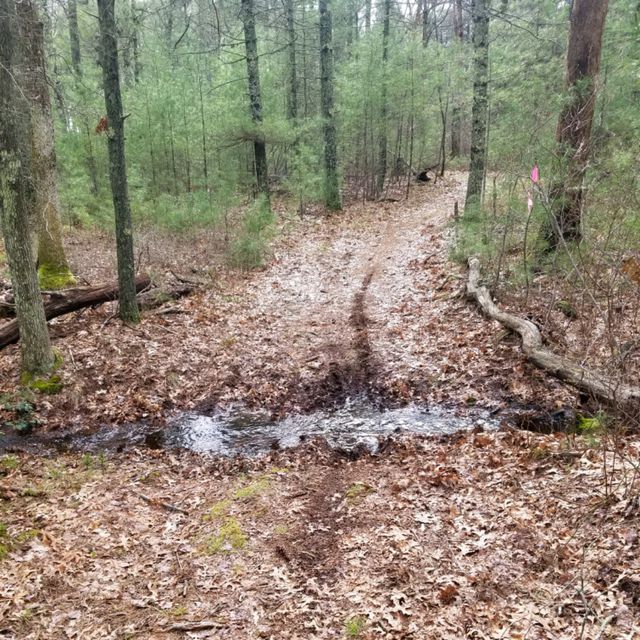 Crawl, Walk, Run, Jump, Punch, Kick 😂🤣 - Free Lower Body Workout by ...