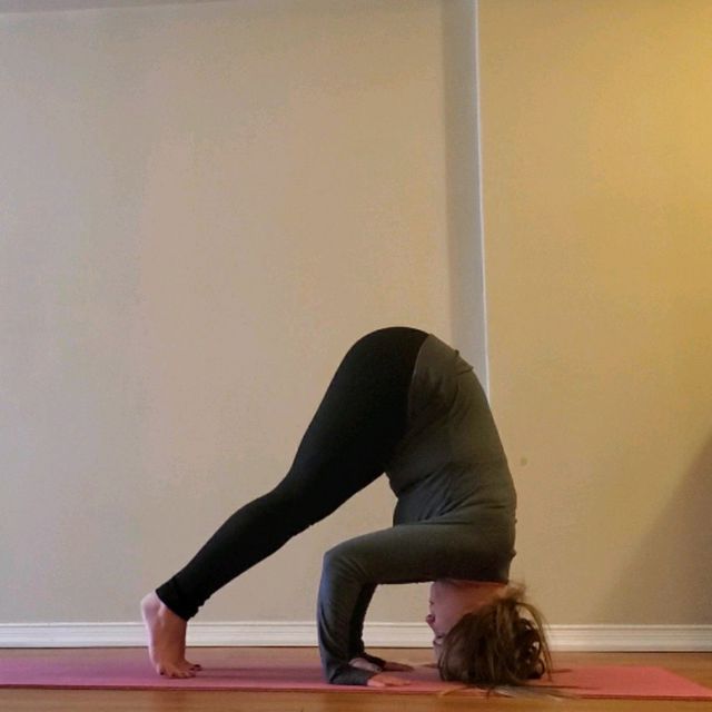 Tripod Dog by Bernadette C. - Exercise How-to - Skimble