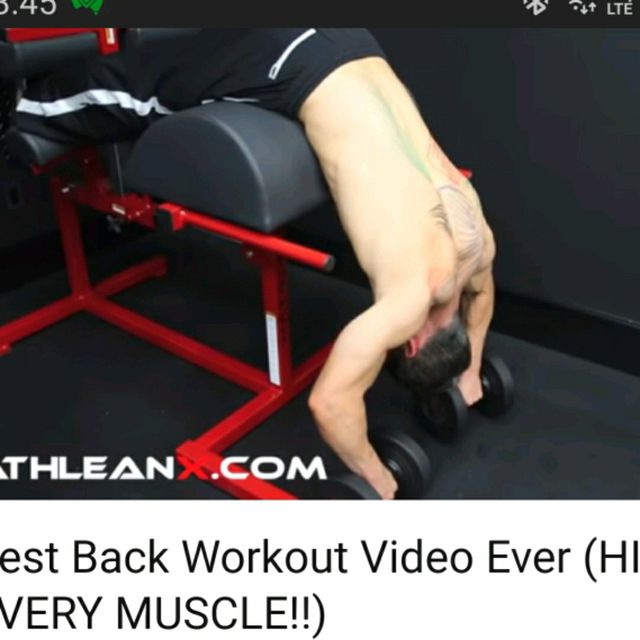 EVERY BACK MUSCLE by Vincent H. - Exercise How-to - Skimble