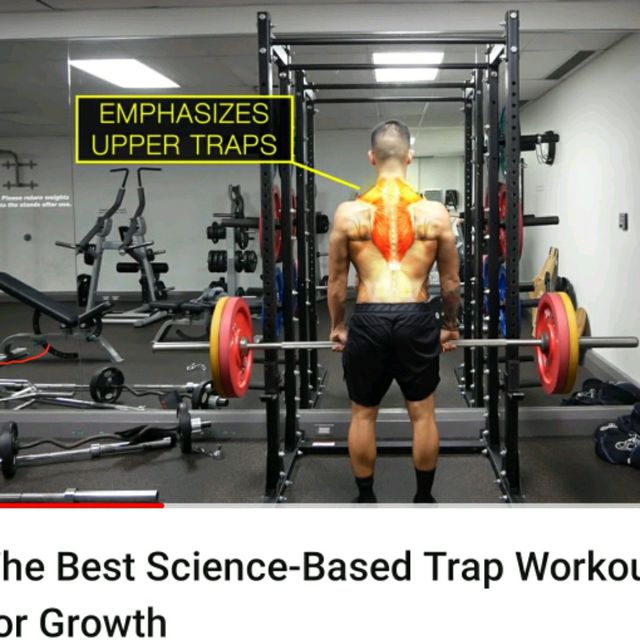 UPPER TRAPS - UPPER KNEE by Vincent H. - Exercise How-to - Skimble