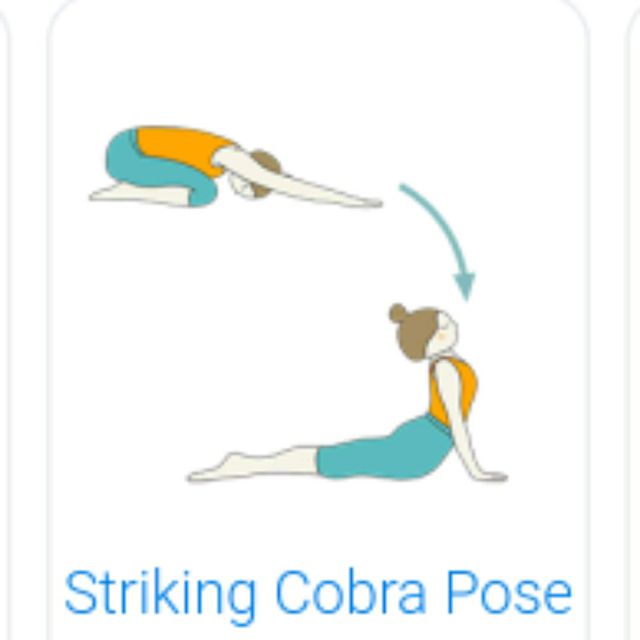 Striking Cobra Flow by 𝔻𝕖𝕤𝕖𝕣𝕥 𝔽𝕠𝕩🦊 🌟 - Exercise How-to - Skimble