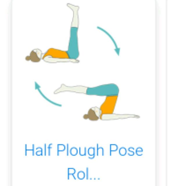 Half Plough Roll by 𝔻𝕖𝕤𝕖𝕣𝕥 𝔽𝕠𝕩🦊 🌟 - Exercise How-to - Skimble