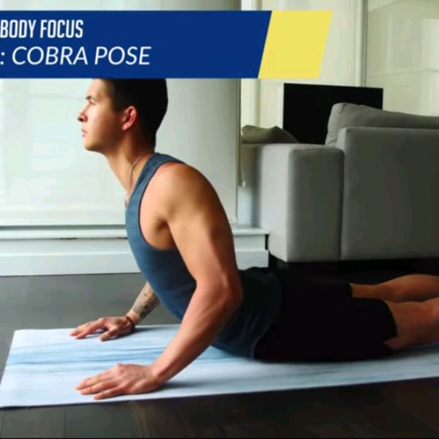 Cobras by Jacob S. - Exercise How-to - Skimble Workout Trainer