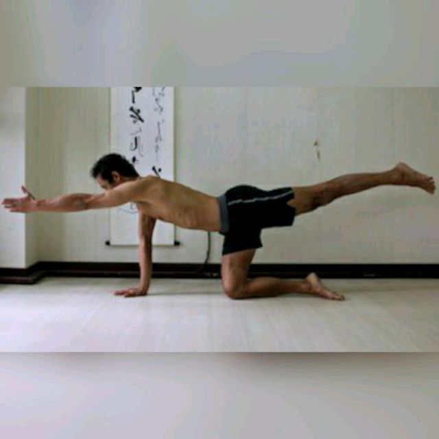 Right Single Side Bird Dog by Luca⚡ 🔹. - Exercise How-to - Skimble
