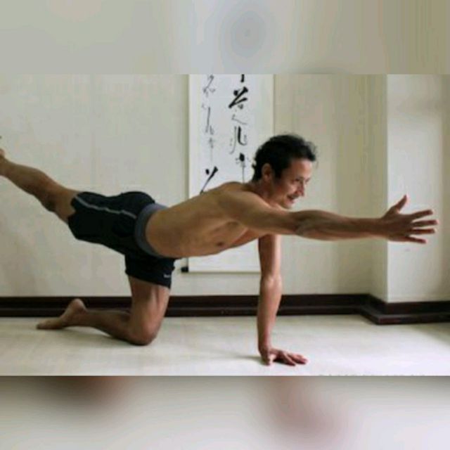 Left Single Side Bird Dog by Luca⚡ 🔹. - Exercise How-to - Skimble