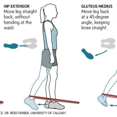 Hip Extensor Exercises