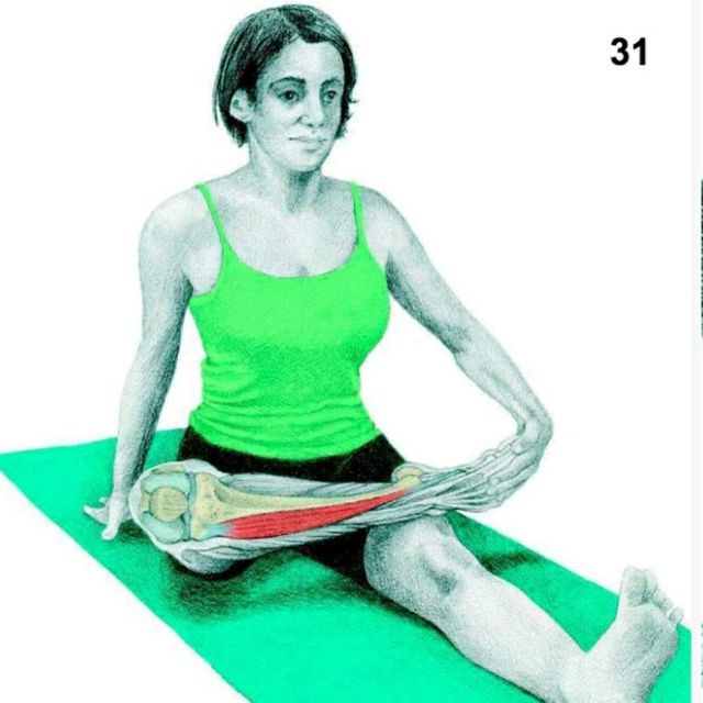 Seated Half Pigeon Variation by Vincent H. - Exercise How-to - Skimble