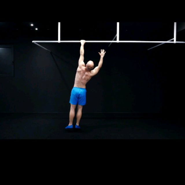 One Arm Scapula Raise by Alex 🌊. - Exercise How-to - Skimble