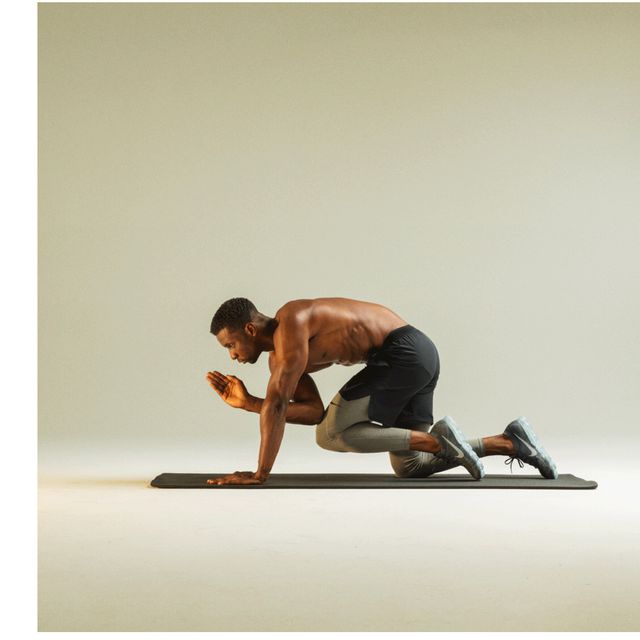 Bird Dog V2 by Steve T. - Exercise How-to - Skimble