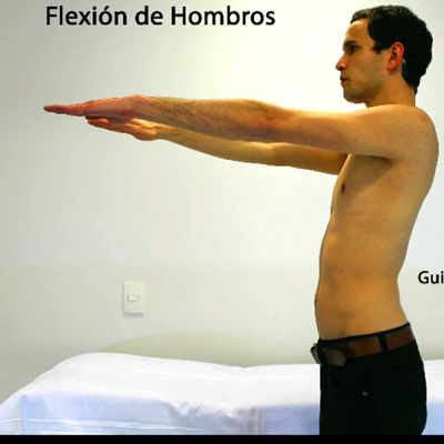 REHABILITACIÓN INICIAL DE HOMBRO - Beginner Workout by Camilo Andrés V ...