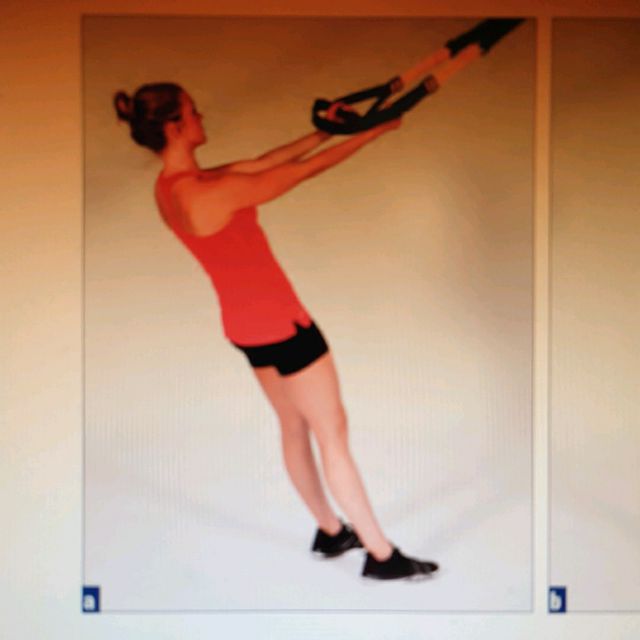 TRX Biceps Curl by Wayne S. - Exercise How-to - Skimble