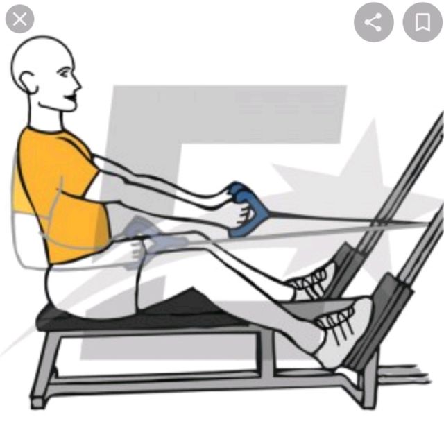 Remo polea baja by Fran Algo - Ejercicio Cómo hacerlo - Skimble