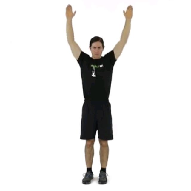 Raise the Roof by Kirk W. - Exercise How-to - Skimble