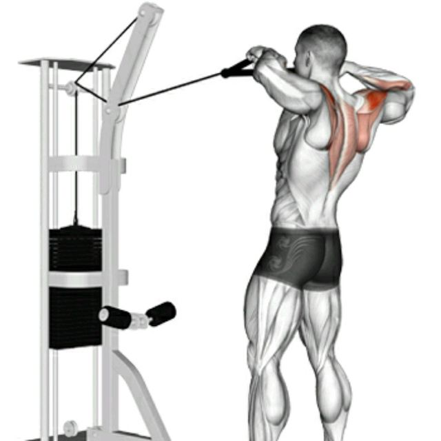 Face Pulls by Daniel Lyle - Exercise How-to - Skimble