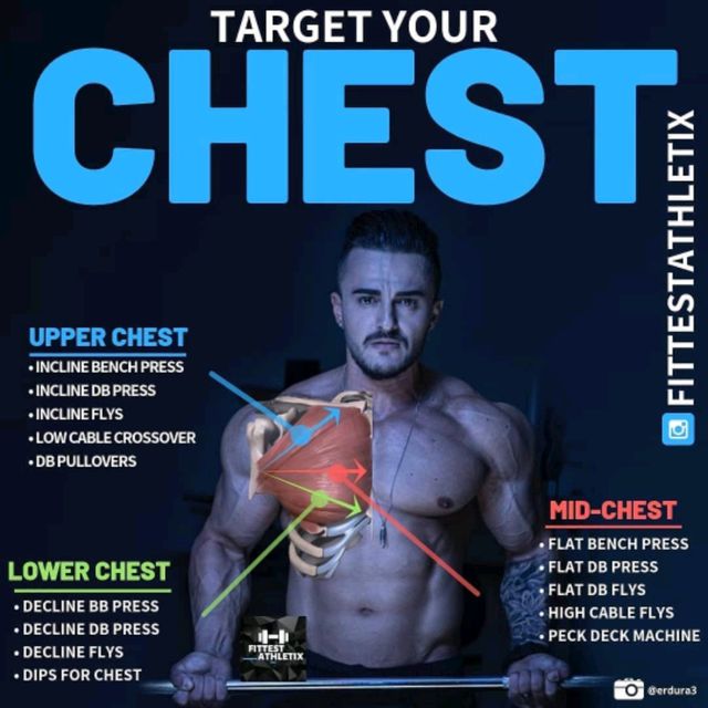 🐺💉🍑BJIB Boob Job Finisher Wolverines (HeS)🍑💉🐺 - Free Shoulder Workout ...