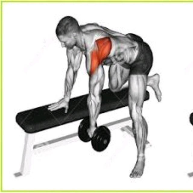 One Arm Dumbbell Pronated Row by Uncle Heiko S - Exercise How-to - Skimble