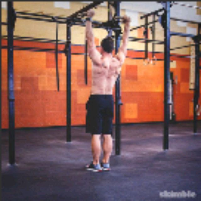 Suspension IYT's by Kirk W. - Exercise How-to - Skimble