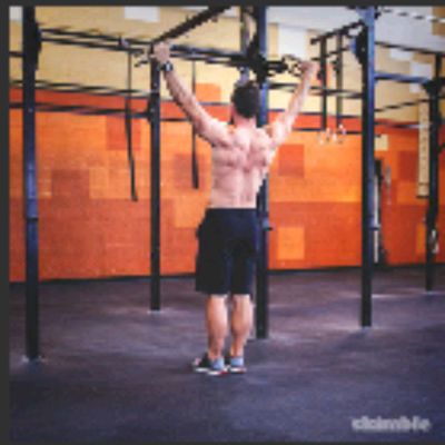 8 Suspension Frog Kicks by Kirk W. - Exercise How-to - Skimble