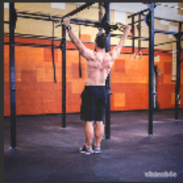 Suspension IYT's by Kirk W. - Exercise How-to - Skimble