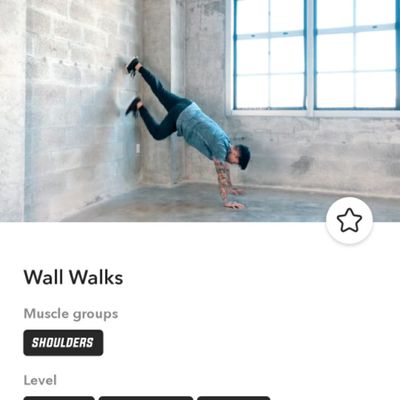 Hanging Scapula Shrugs by Tulio Ribeiro - Exercise How-to - Skimble