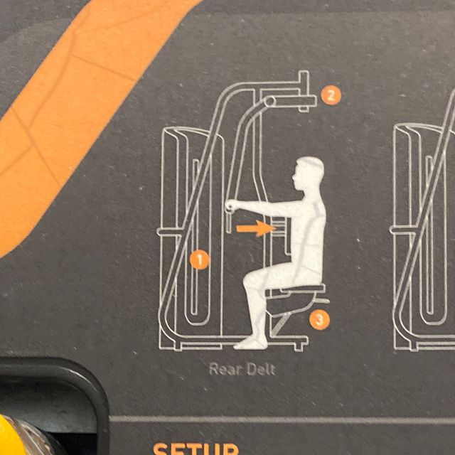 Rear Delt Machine by Elizabeth D. - Exercise How-to - Skimble