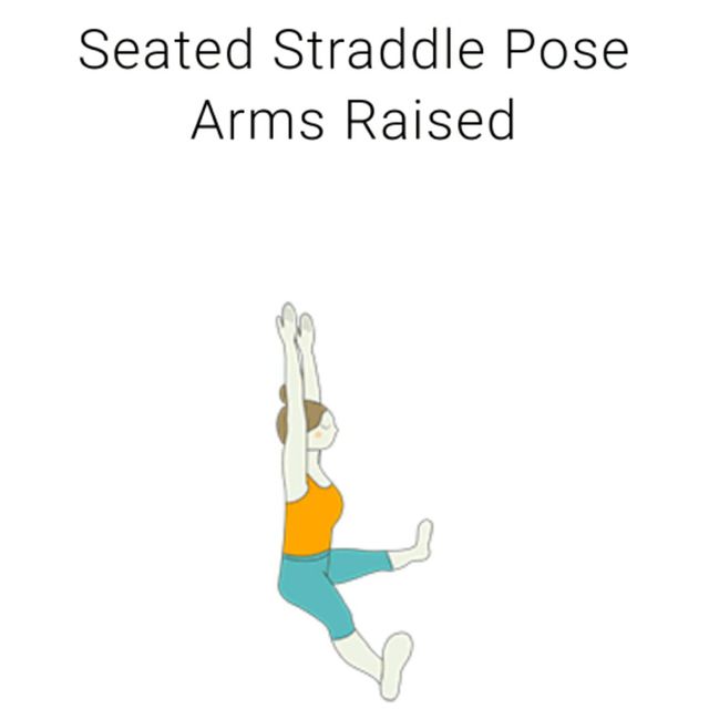 Inhale To Seated Straddle Arms Raised by 𝔻𝕖𝕤𝕖𝕣𝕥 𝔽𝕠𝕩🦊 🌟 - Exercise How ...