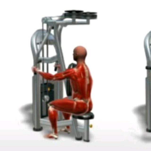 Seated Rear Delt Machine by Odin S. - Exercise How-to - Skimble