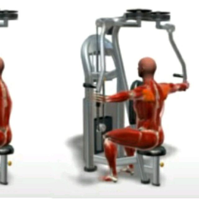 Seated Rear Delt Machine by Odin S. - Exercise How-to - Skimble
