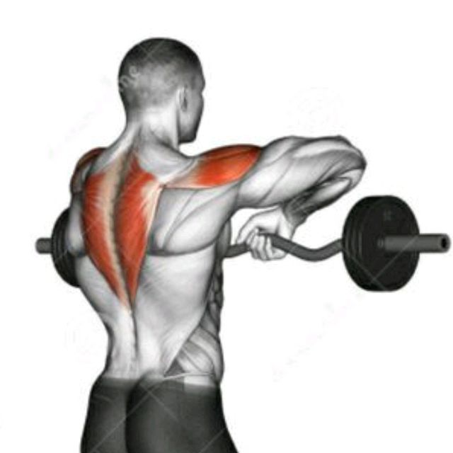 Upright Row por Zsolt Dobroczki - Ejercicio Cómo hacerlo - Skimble