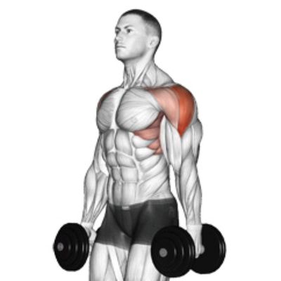Triceps Extension by Zsolt Dobroczki - Exercise How-to - Skimble