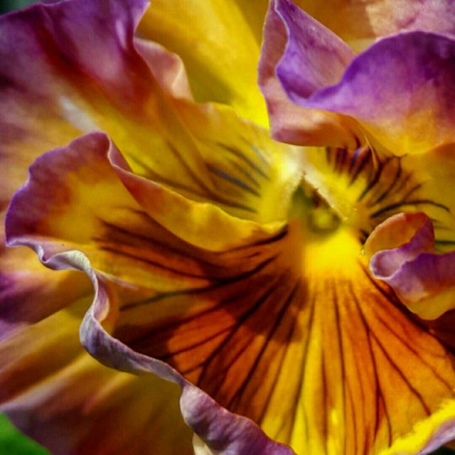 Squat That Butt - Free Lower Body Workout by Catherine P. - Skimble