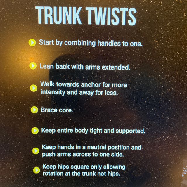 TRX Trunk Twists by Lee F. - Exercise How-to - Skimble