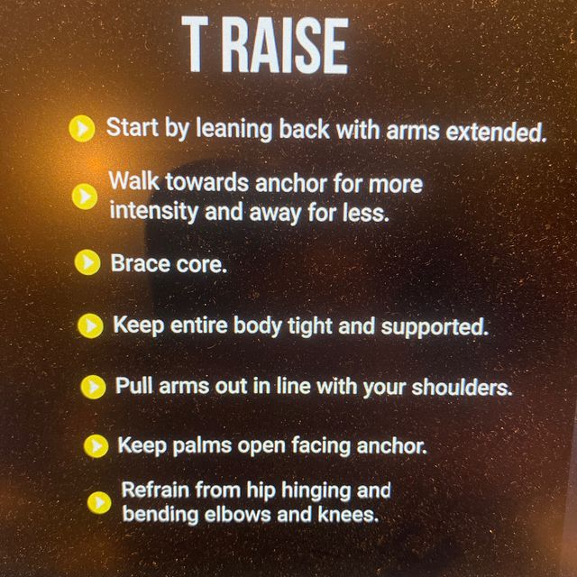 TRX T Raises by Lee F. - Exercise How-to - Skimble