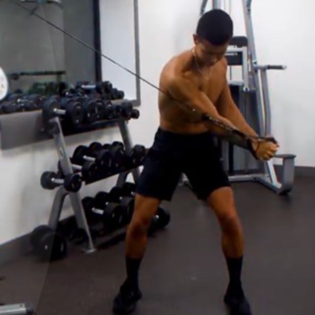 High To Low Wood Chops by 𝓐𝓷𝓲𝓽𝓪 🦋 - Exercise How-to - Skimble