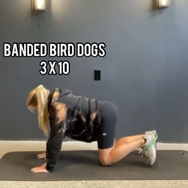 Banded Bird Dogs by Rushfitness 💪🏽 - Exercise How-to - Skimble