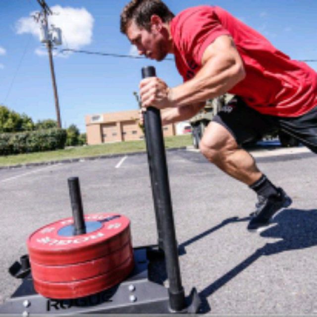 Rogue Dog Sled от 𝔻𝕖𝕤𝕖𝕣𝕥 𝔽𝕠𝕩🦊 🌟 - Как делать упражнения - Skimble