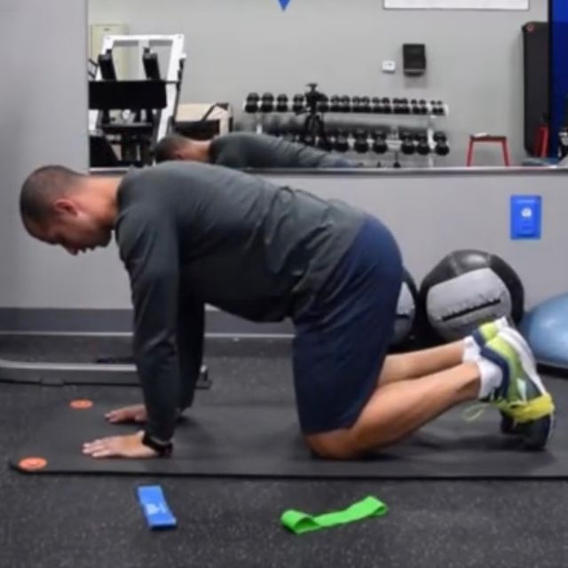 L Arm/R Leg Banded Bird Dogs by Brian Fallon - Exercise How-to - Skimble