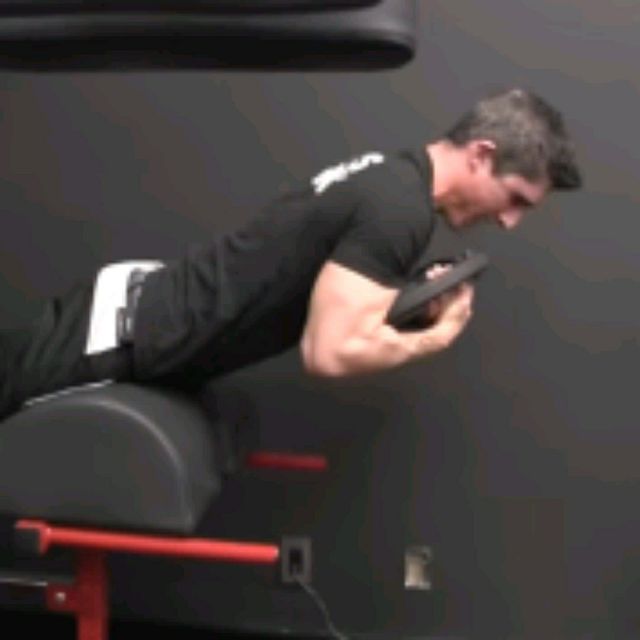 Back Extensions With Plate by 𝔻𝕖𝕤𝕖𝕣𝕥 𝔽𝕠𝕩🦊 🌟 - Exercise How-to - Skimble