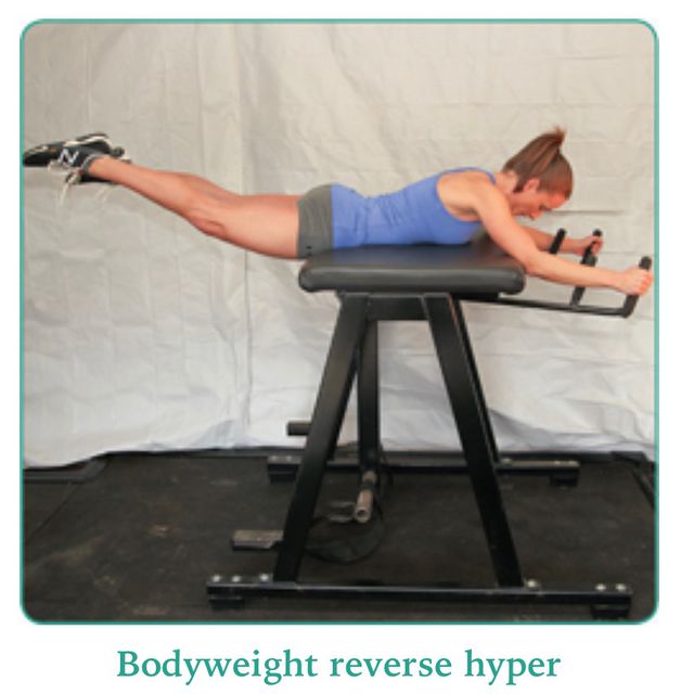 Bodyweight Reverse Hyper by Karen Mcm - Exercise How-to - Skimble
