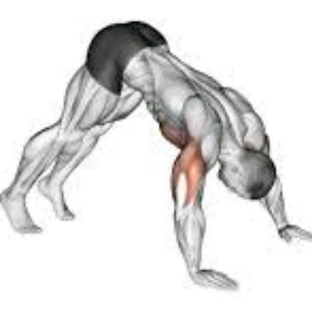 Pike Push Up by Fawwaz Sathaar - Exercise How-to - Skimble