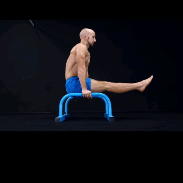 L-SIT Hold(Highlets, Parallets) by Alex 🌊. - Exercise How-to - Skimble