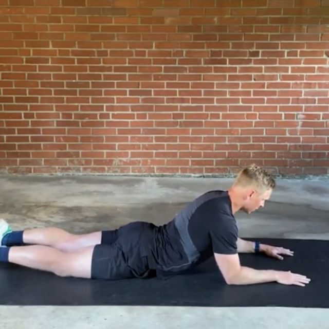 Sphinx Pose Reaches by Brian Fallon - Exercise How-to - Skimble